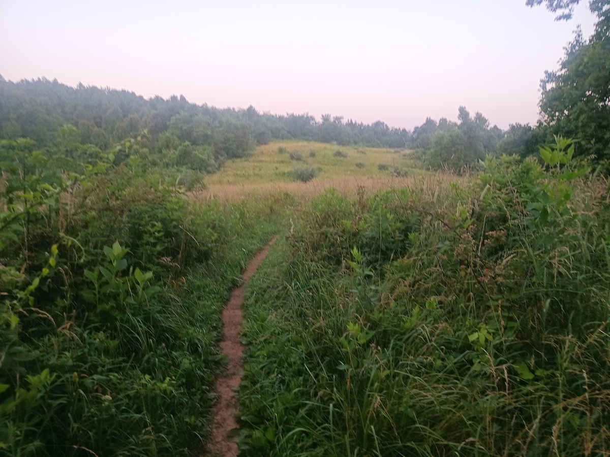 Appalachian Trail: Keys Gap, WV to Swift Run Gap, VA.