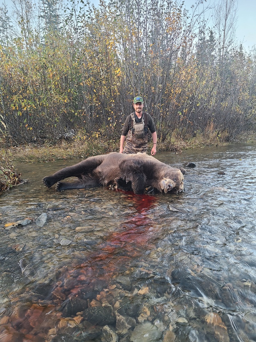 Update for yesterday. Grizzly bear was found (warning: dead animal photos)