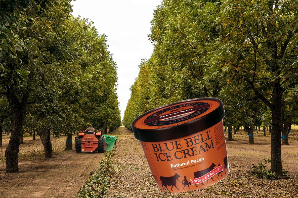 B12 Schools and Blue Bell Ice Cream Flavors