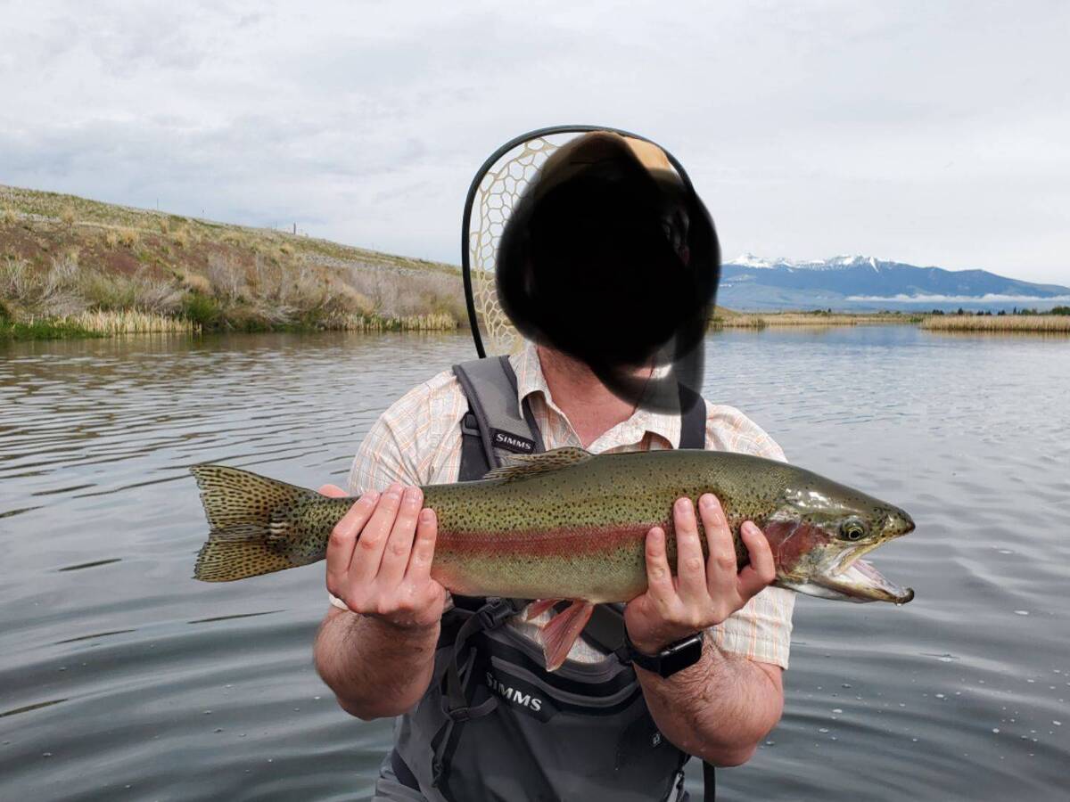 Caught some big trout in these random ponds off I-90