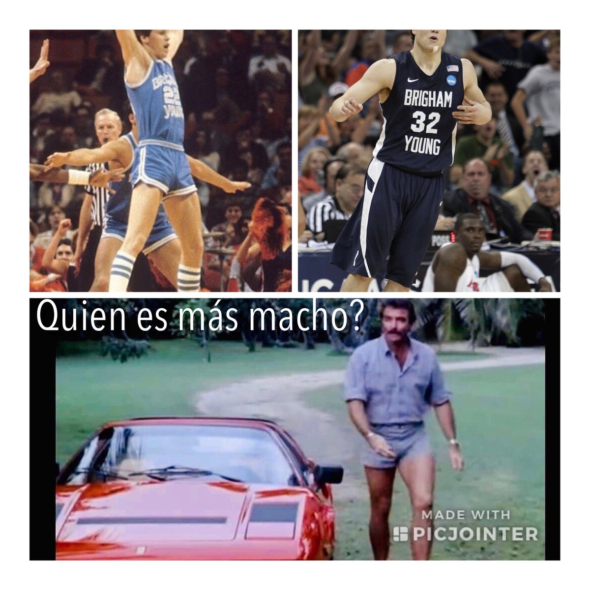 Quien es más Macho?