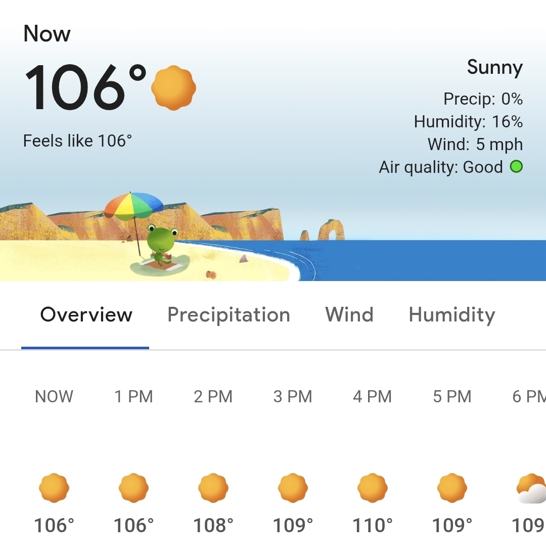 I kind of don't like Google right now. Why, when I'm in AZ, would you ...