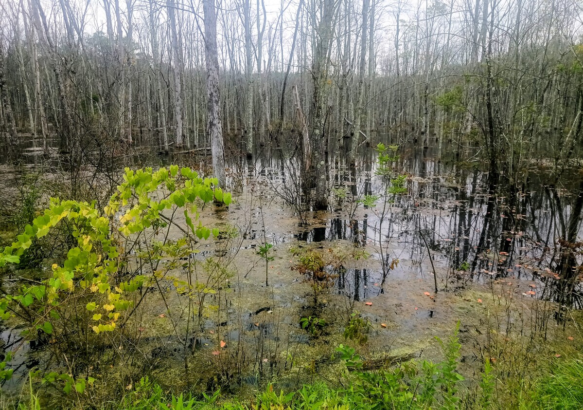 RE: Appalachian Trail: Culvers Gap, NJ to Hudson River, NY.